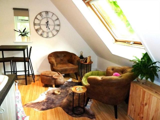 1 bedroom apartment to rent