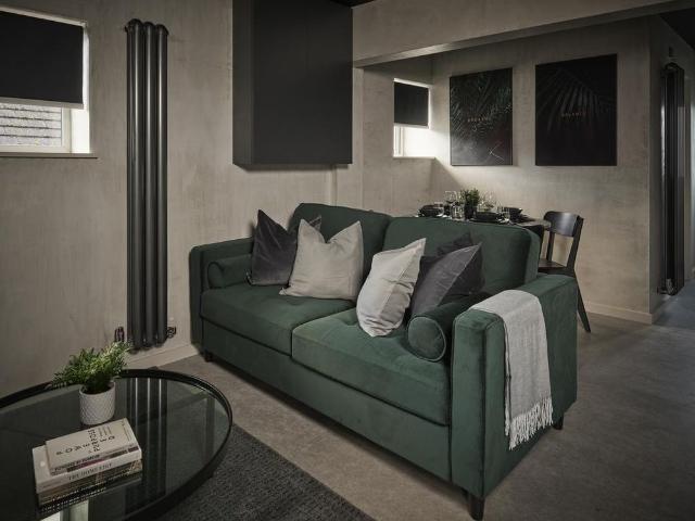 1 bedroom apartment to rent