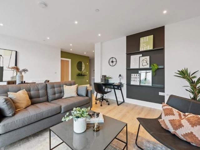 1 bedroom apartment to rent
