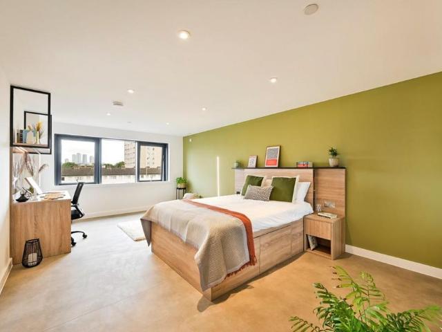 1 bedroom apartment to rent