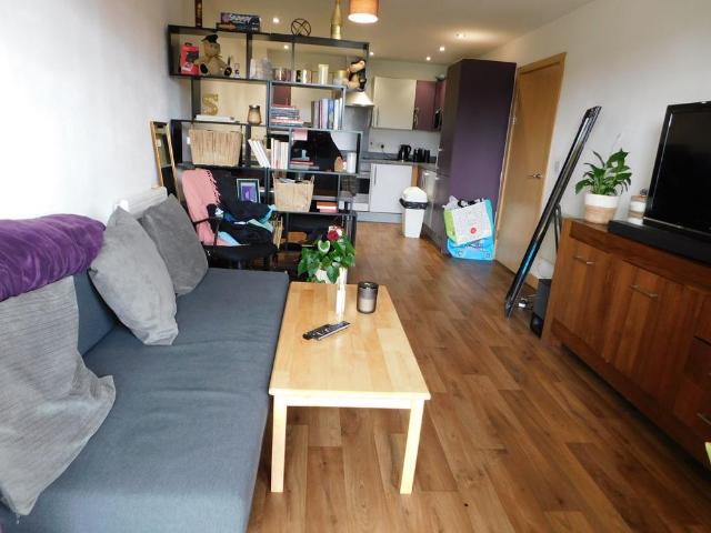 1 bedroom apartment to rent