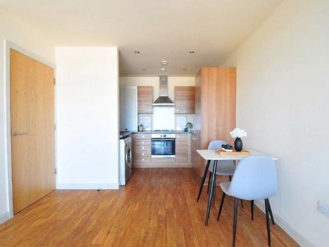 1 bedroom apartment to rent