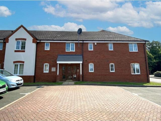 1 bedroom apartment to rent