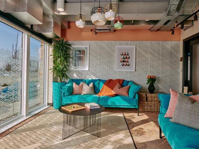 1 bedroom apartment to rent