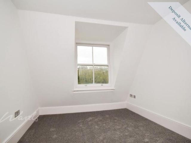 1 bedroom apartment to rent