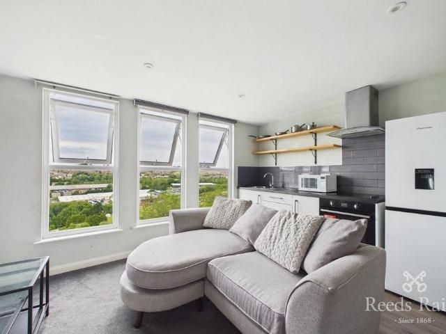 1 bedroom apartment to rent