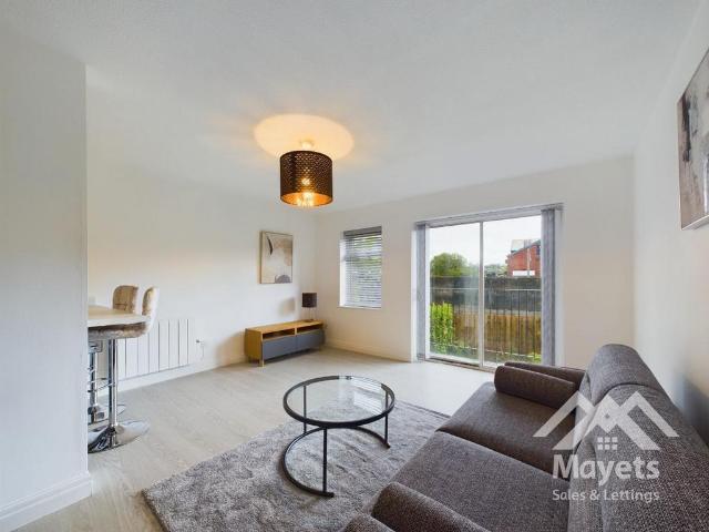1 bedroom apartment to rent