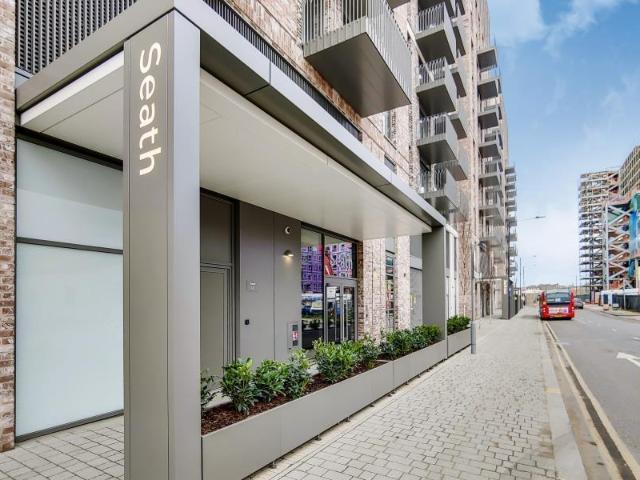 1 bedroom apartment to rent