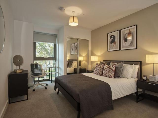 1 bedroom apartment to rent