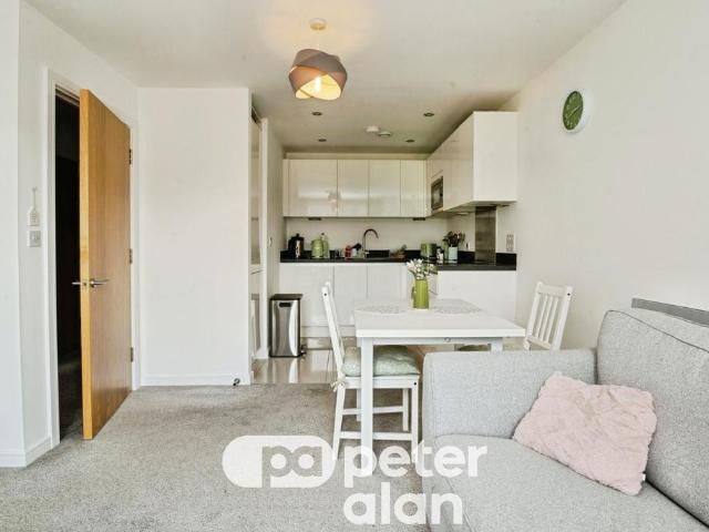 1 bedroom apartment to rent