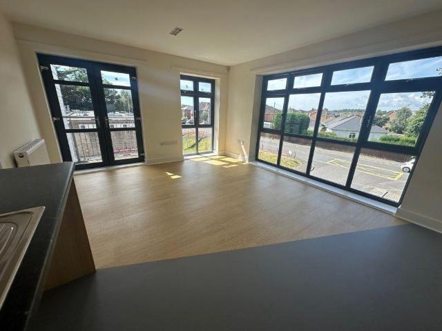 1 bedroom apartment to rent