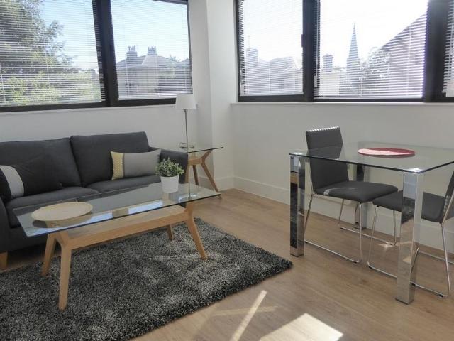 1 bedroom apartment to rent