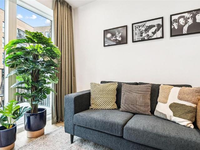 1 bedroom apartment to rent