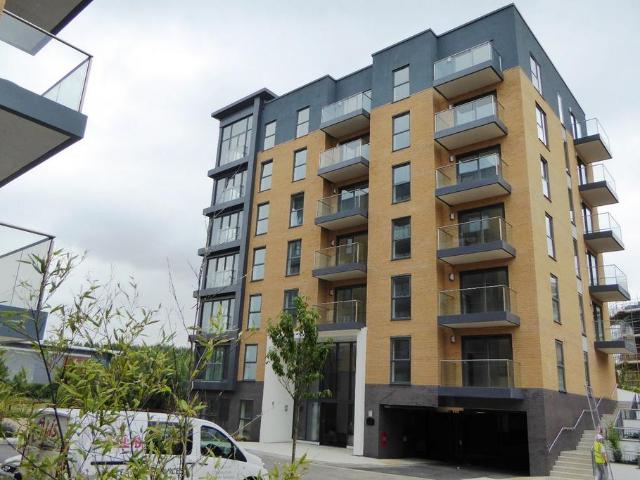1 bedroom apartment to rent