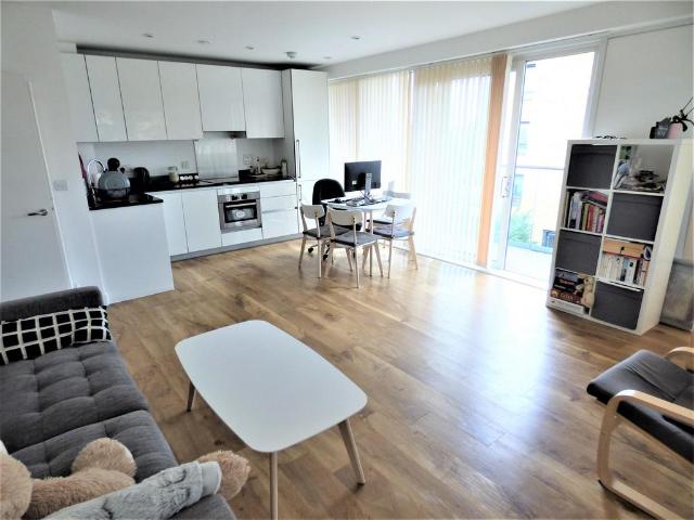 1 bedroom apartment to rent