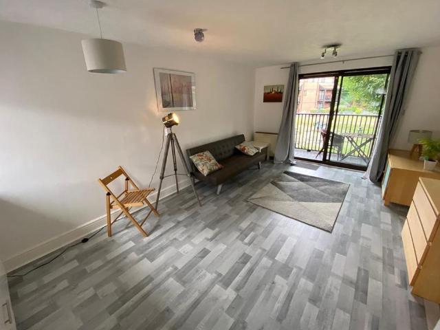 1 bedroom apartment to rent
