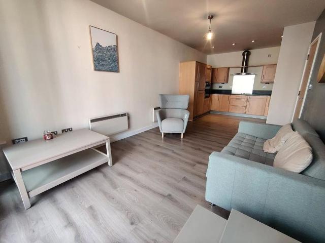 1 bedroom apartment to rent