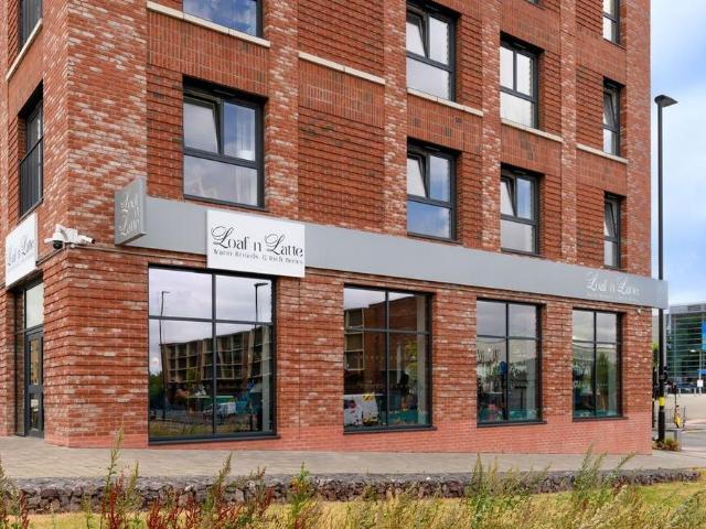 1 bedroom apartment to rent