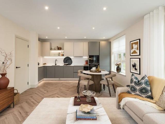 1 bedroom apartment to rent