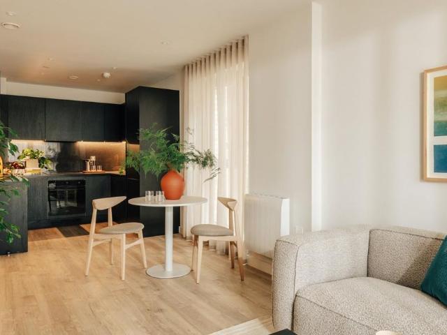 1 bedroom apartment to rent