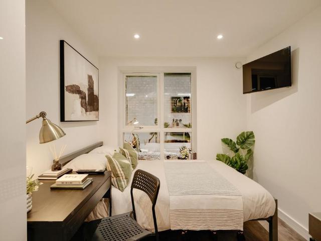 1 bedroom apartment to rent