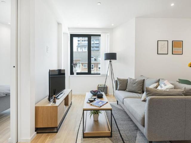 1 bedroom apartment to rent
