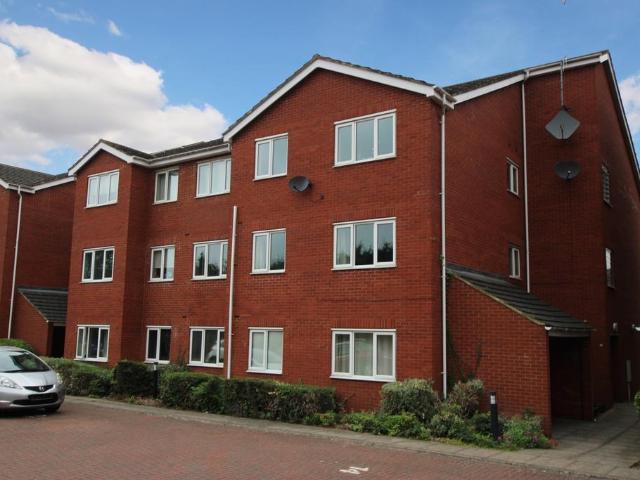1 bedroom apartment to rent