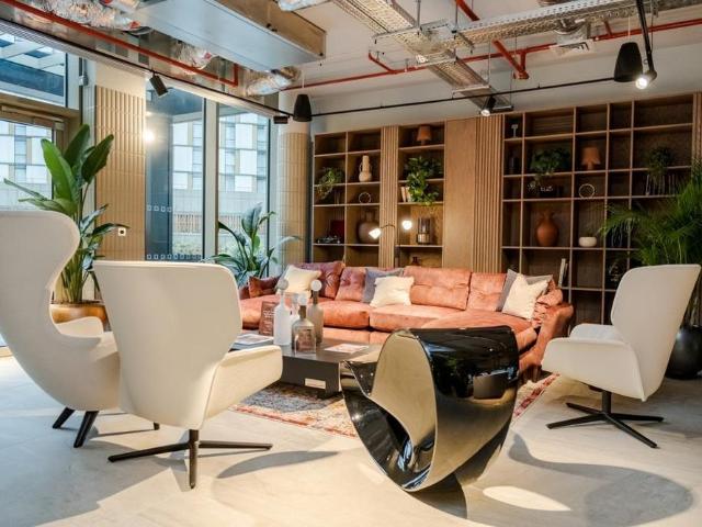 1 bedroom apartment to rent