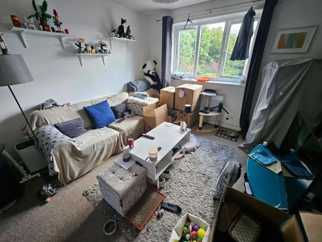 1 bedroom apartment to rent