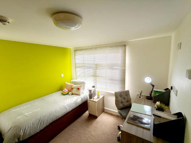 1 bedroom apartment to rent