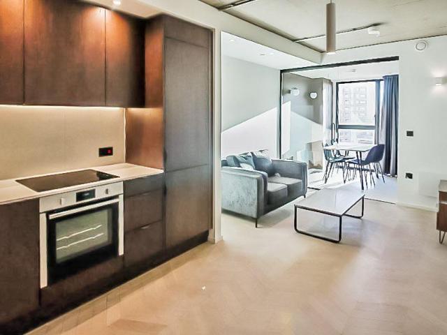 1 bedroom apartment to rent