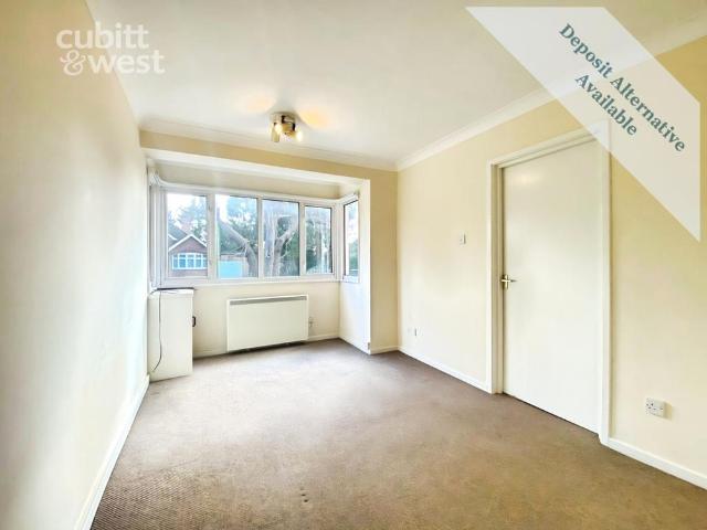1 bedroom apartment to rent