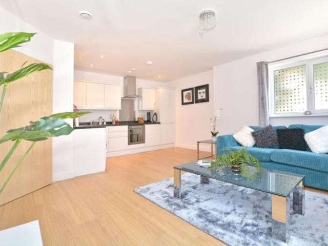 1 bedroom apartment to rent