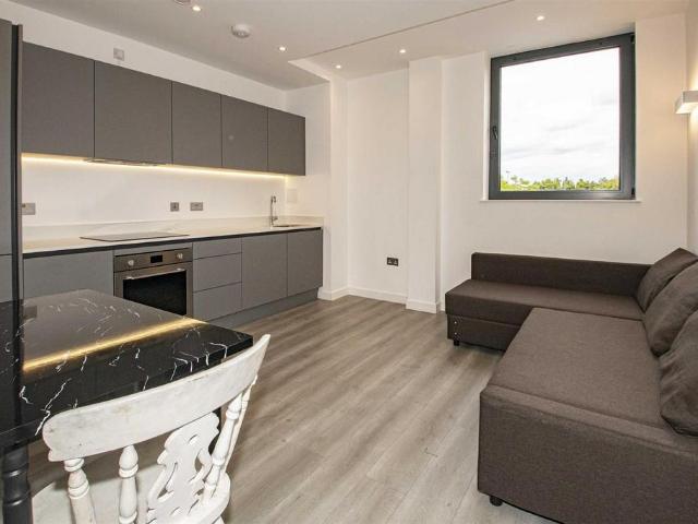 1 bedroom apartment to rent