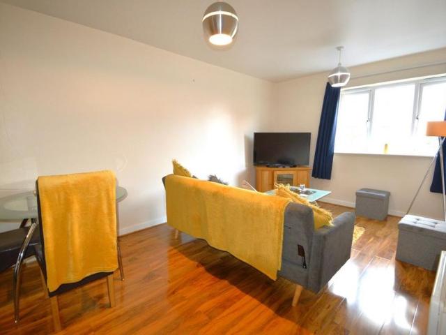 1 bedroom apartment to rent