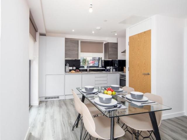 1 bedroom apartment to rent