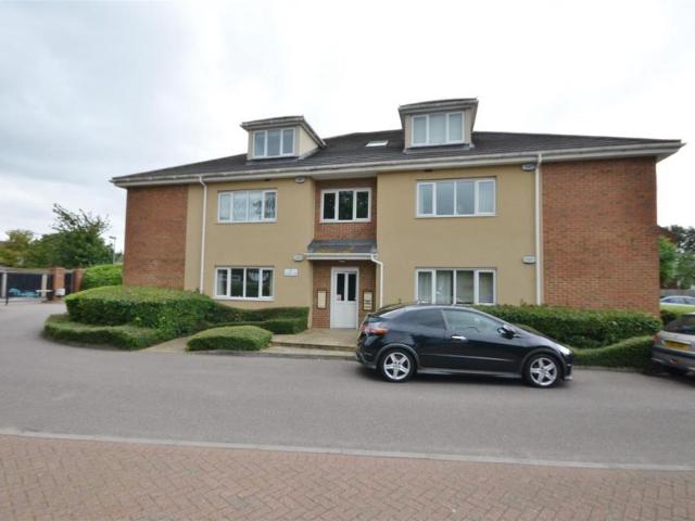 1 bedroom apartment to rent