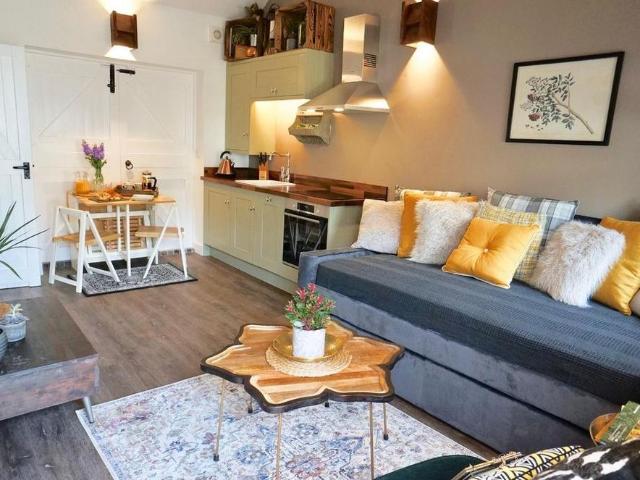1 bedroom apartment to rent