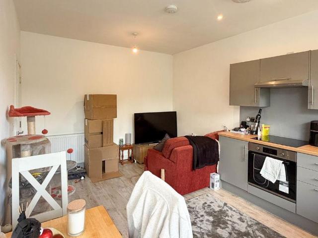 1 bedroom apartment to rent