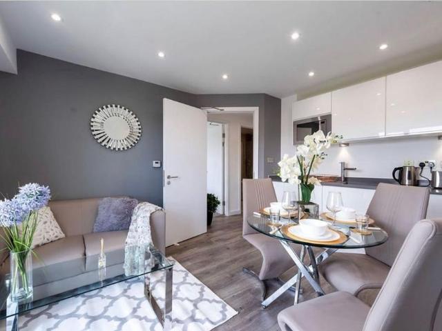 1 bedroom apartment to rent