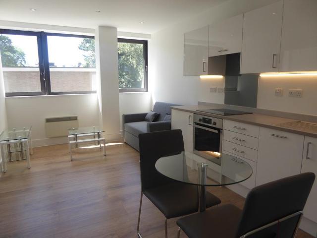 1 bedroom apartment to rent