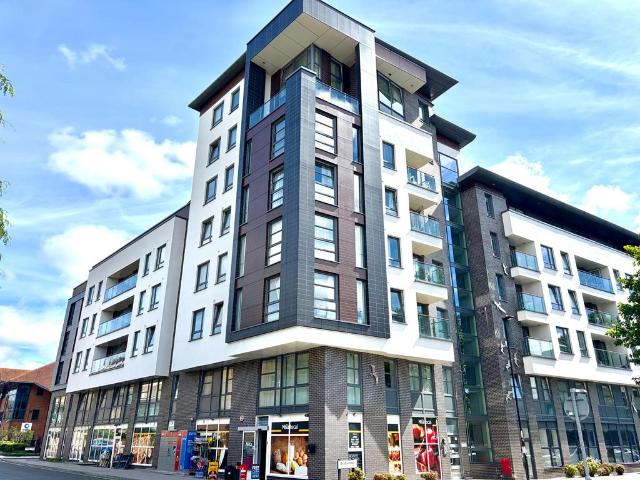 1 bedroom apartment to rent