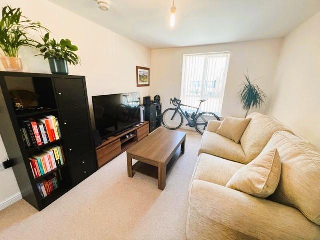 1 bedroom apartment to rent
