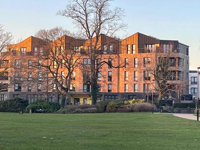 1 bedroom apartment to rent