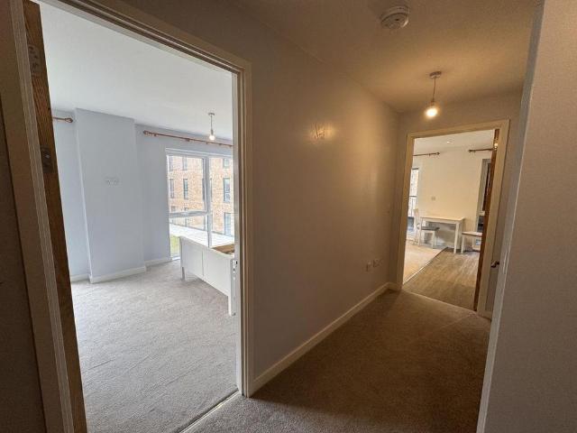1 bedroom apartment to rent
