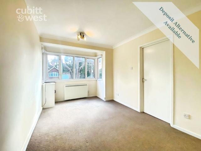 1 bedroom apartment to rent