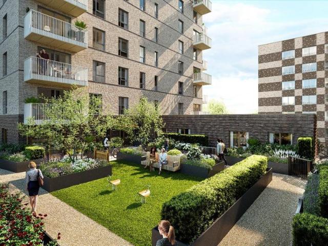 1 bedroom apartment to rent