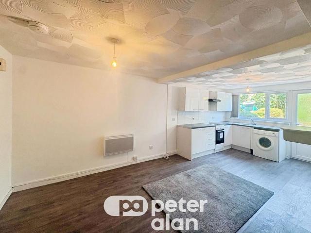 1 bedroom apartment to rent