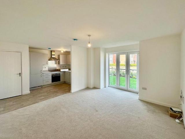 1 bedroom apartment to rent