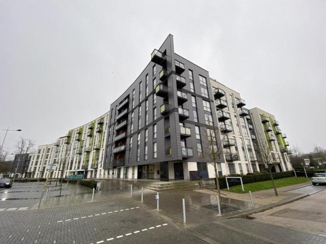 1 bedroom apartment to rent
